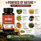 Herbal blend for vitality support