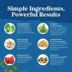 herbal blend with ashwagandha and rhodiola