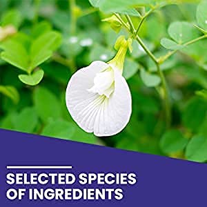 herbal blended vitamins for holistic health