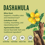 herbal blends for digestive health