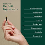 herbal blends for energy and wellness