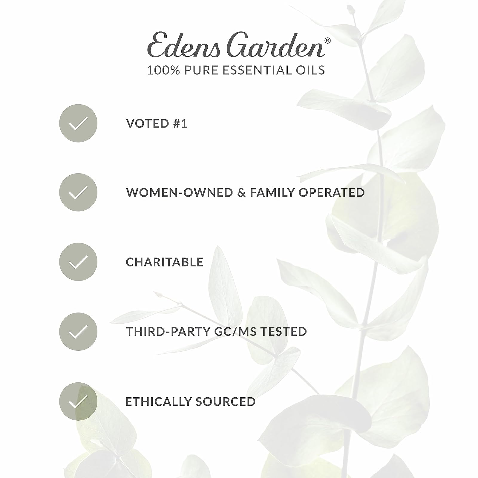 herbal blends for everyday digestive ease
