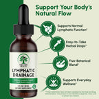 herbal blends for lymphatic health