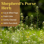 Herbal blends for natural remedies