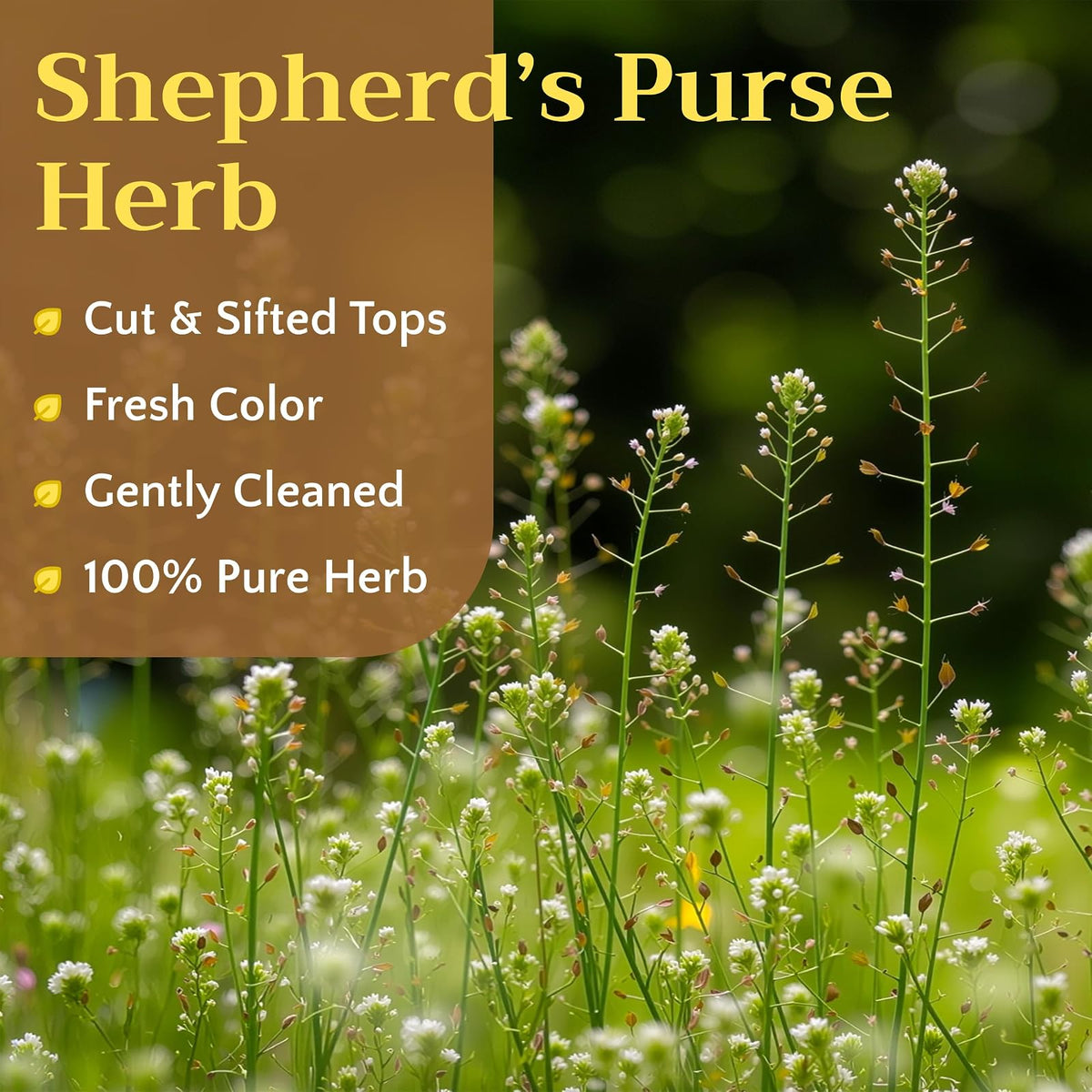 Herbal blends for natural remedies