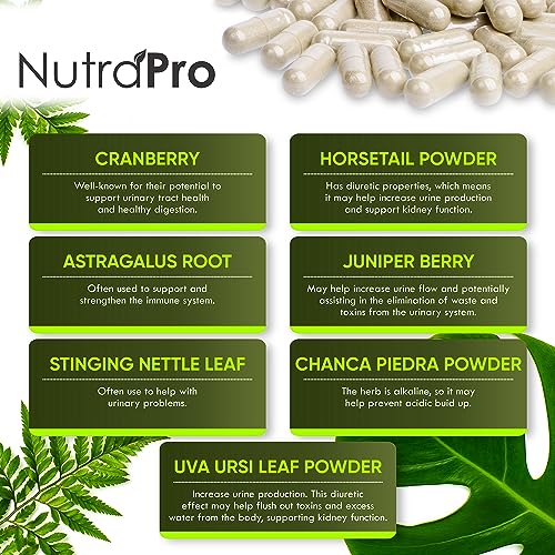 herbal blends for urinary health