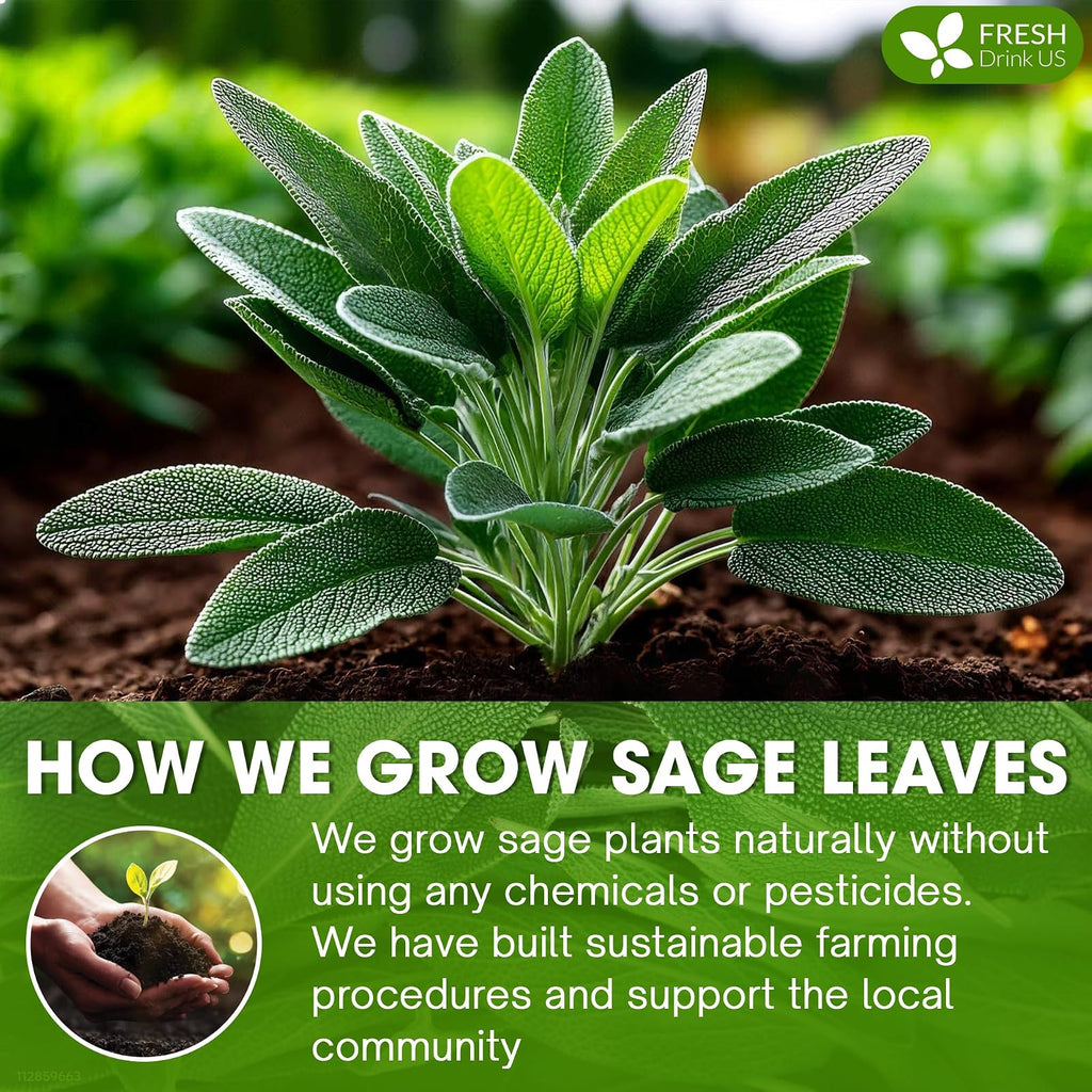 Herbal blends sage leaf powder