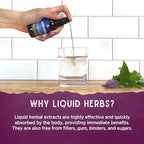 Herbal blends to support cognitive function