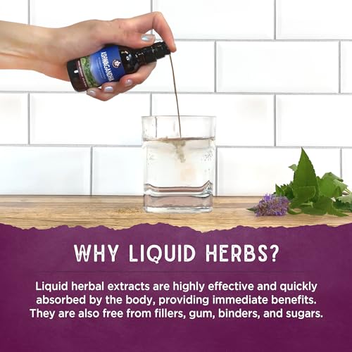 Herbal blends to support cognitive function