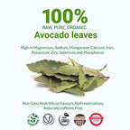Herbal blends with avocado leaves