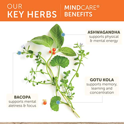 herbal brain health supplements Canada