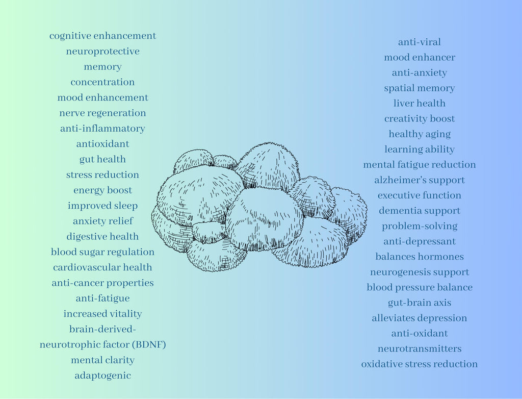 Herbal brain support with Kaua'i supplements