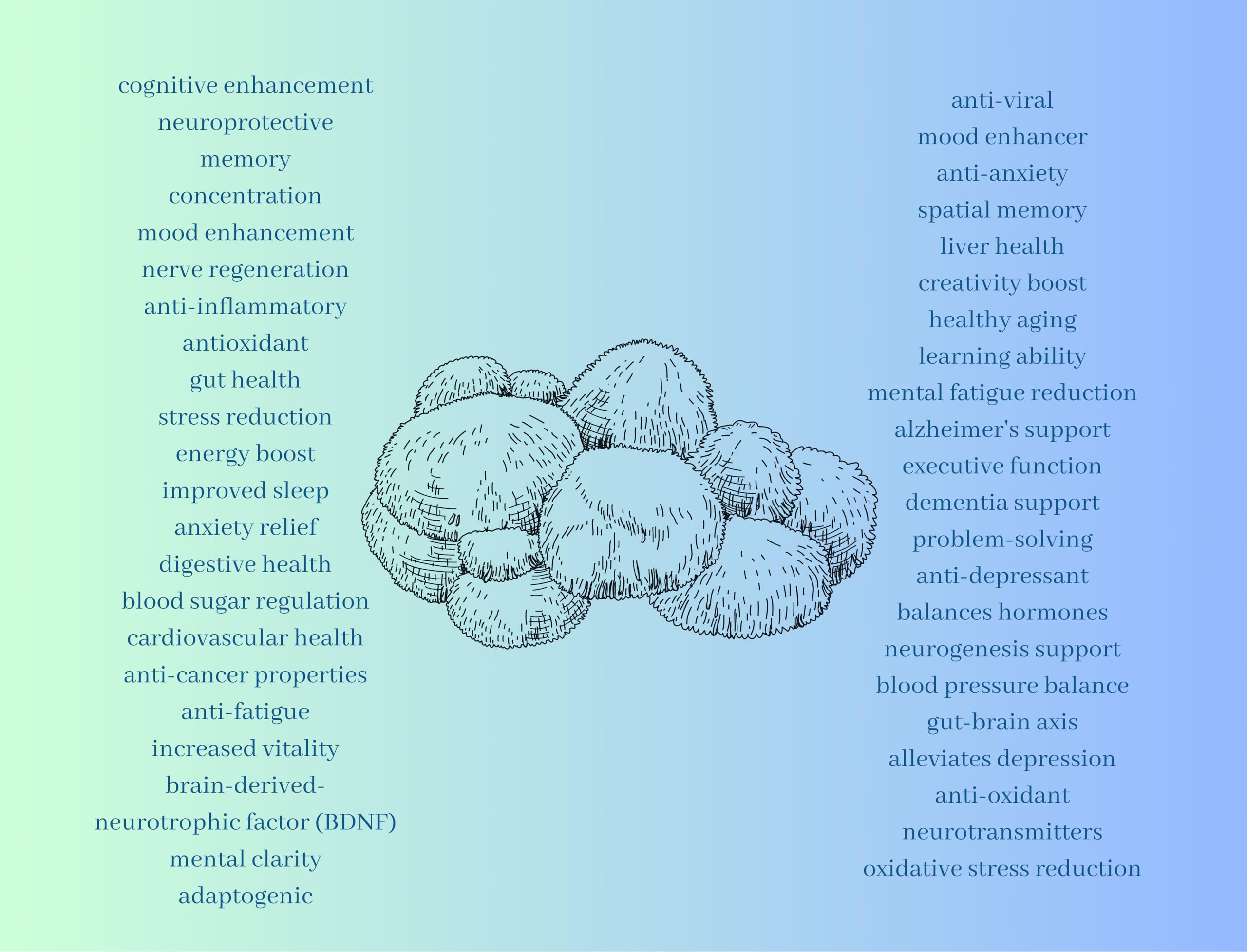 Herbal brain support with Kaua'i supplements
