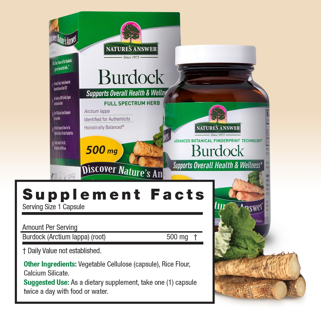 Herbal Burdock Root for wellness