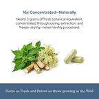 herbal capsules for allergy relief