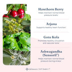 herbal capsules for anxiety support