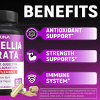 herbal capsules for better mobility