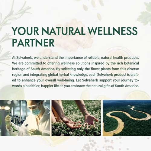 herbal capsules for daily health boost
