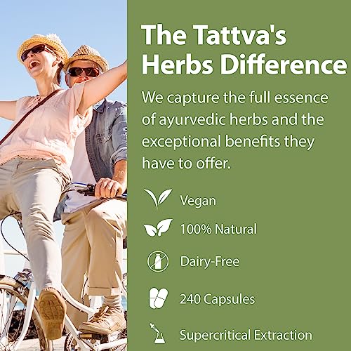 herbal capsules for energy and endurance