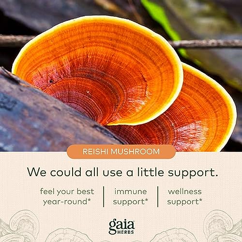 Herbal capsules for enhanced immune function
