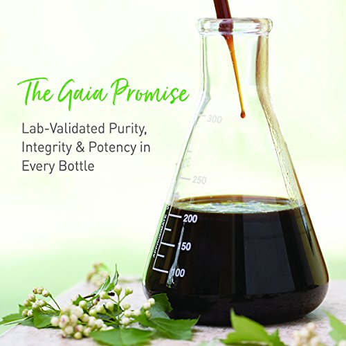 herbal capsules for immune boost