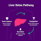 herbal capsules for liver health