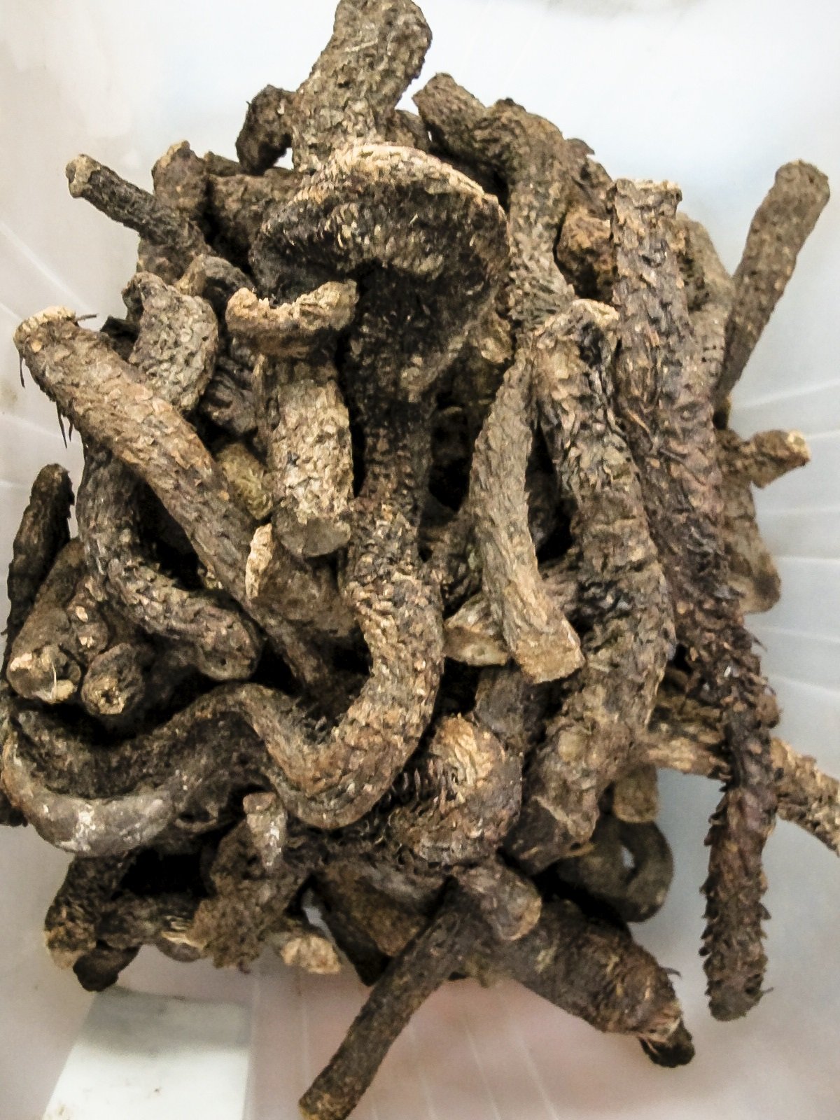 Herbal capsules for youthful energy
