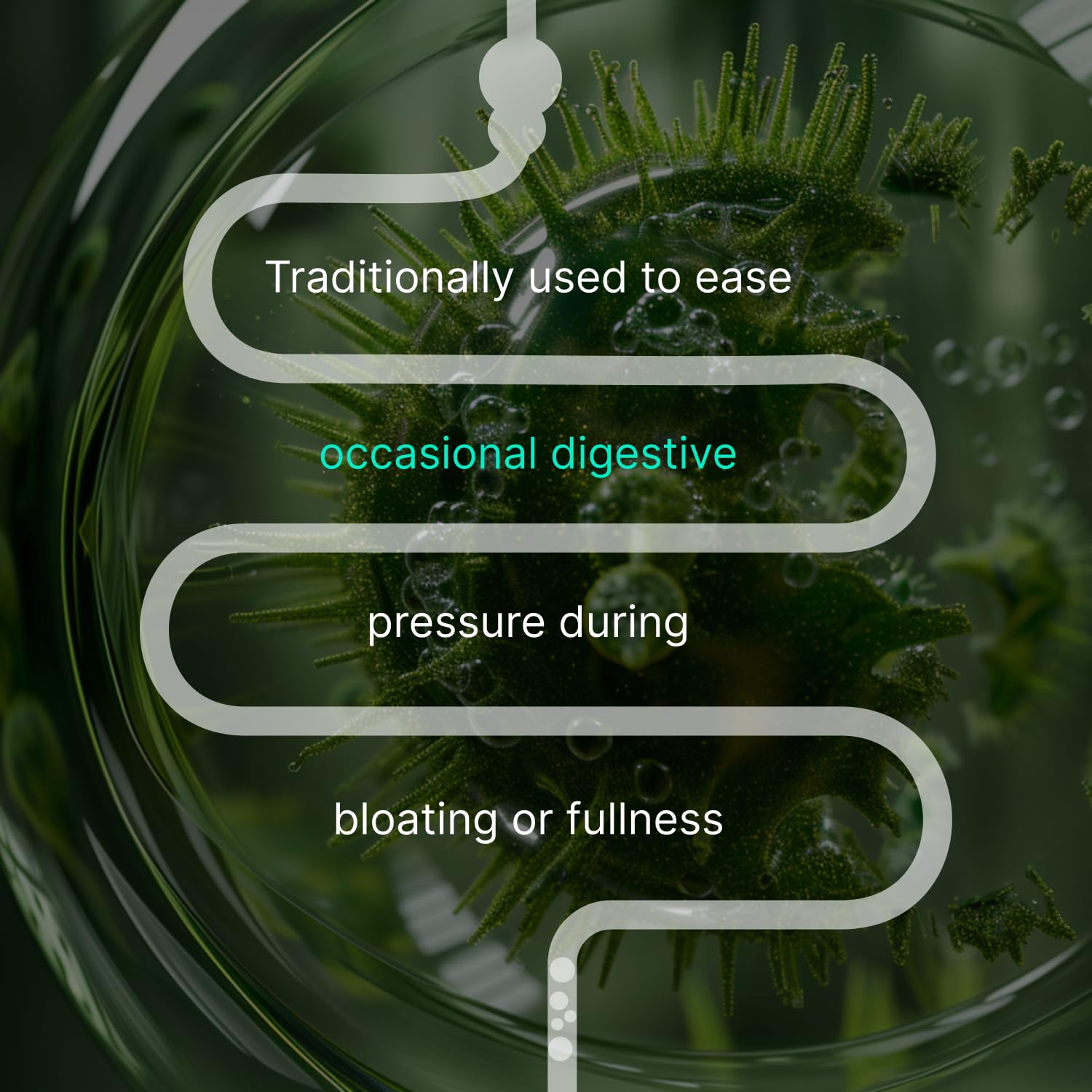 herbal chamomile tincture for everyday use