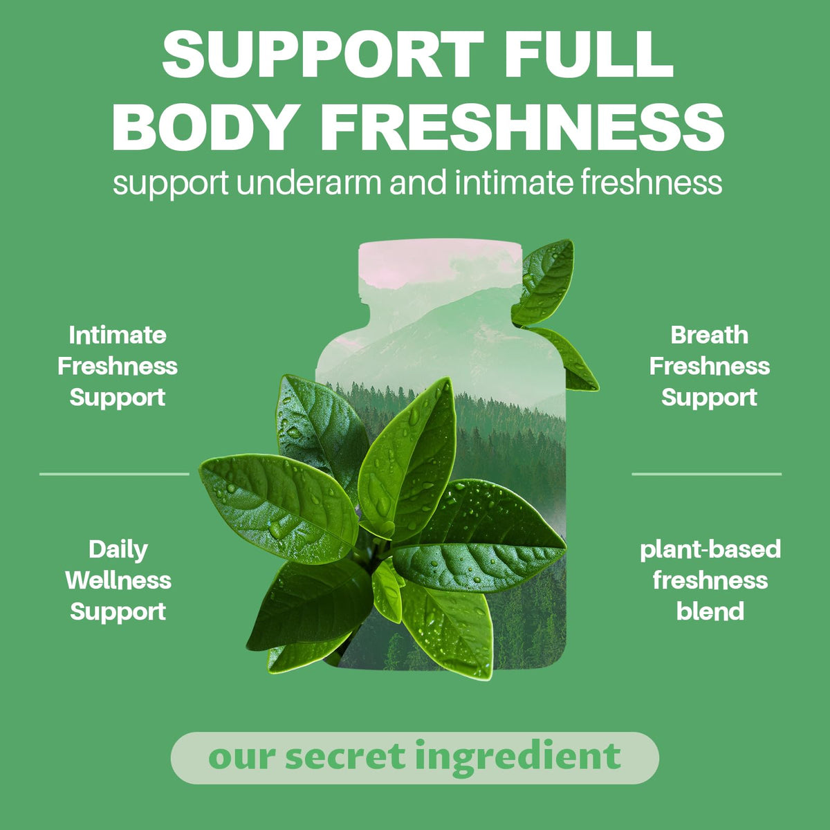 herbal chlorophyll capsules for digestion