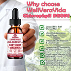herbal chlorophyll drops for wellness