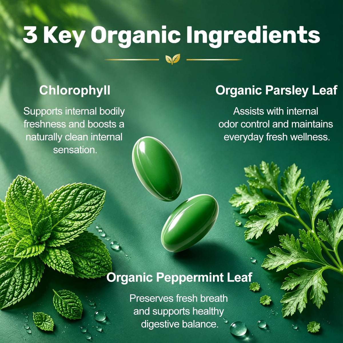 herbal chlorophyll for digestive health