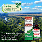 herbal chlorophyll for digestive support