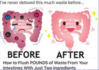 herbal cleanse for gut wellness
