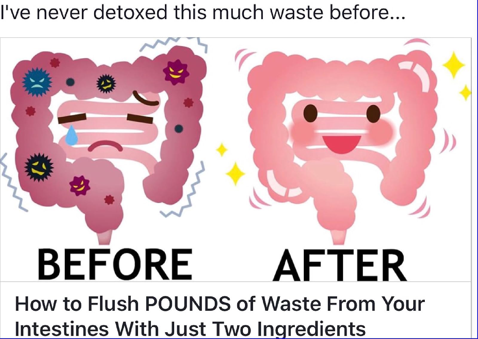herbal cleanse for gut wellness