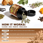 herbal cleanse for overall wellness