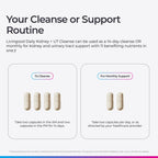 Herbal cleanse for urinary tract