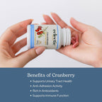 herbal cranberry capsules for digestion