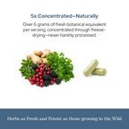 Herbal cranberry capsules for everyday use
