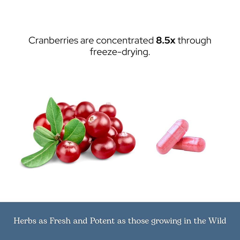 herbal cranberry capsules for urinary health