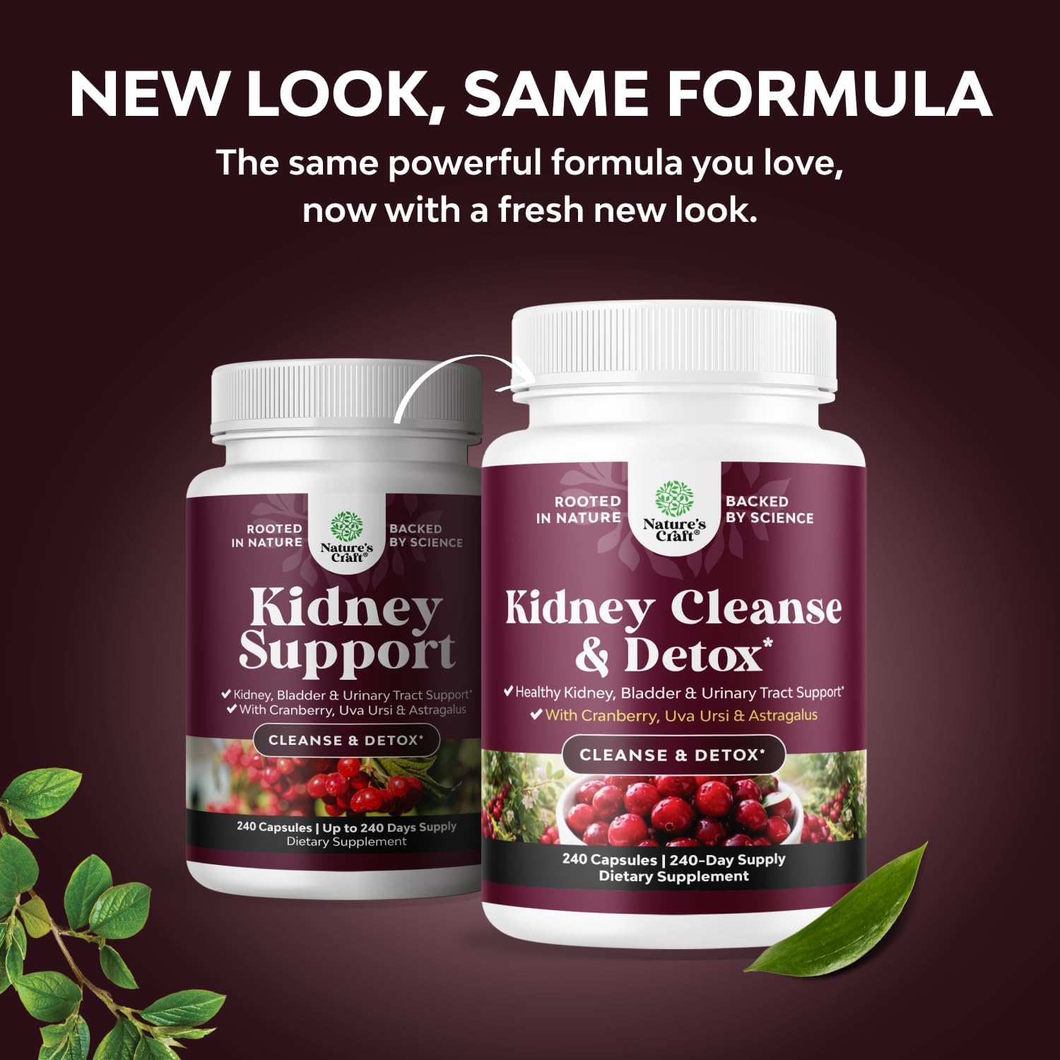 herbal cranberry supplement for kidney health