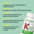 herbal cranberry supplement for kidneys