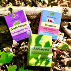 Herbal Cup Ashwagandha tea bags