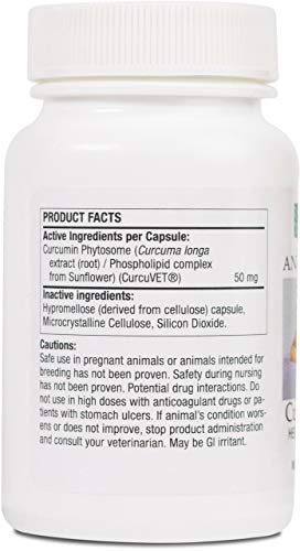 herbal curcumin for active lifestyle