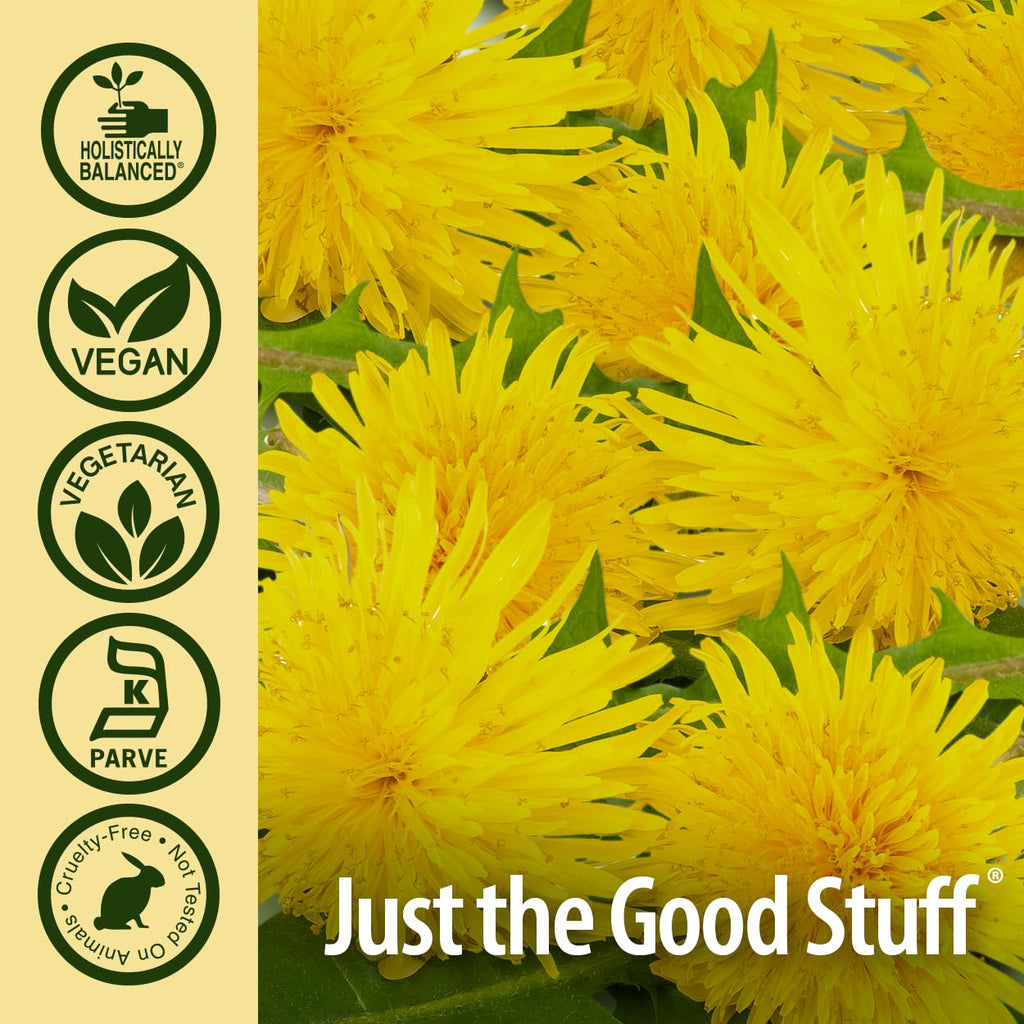 herbal dandelion root benefits