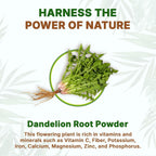 herbal dandelion root for digestion