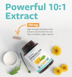 herbal dandelion root health benefits