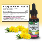 herbal dandelion root supplement