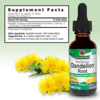 herbal dandelion root tincture