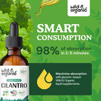 herbal detox cleanse for weight loss