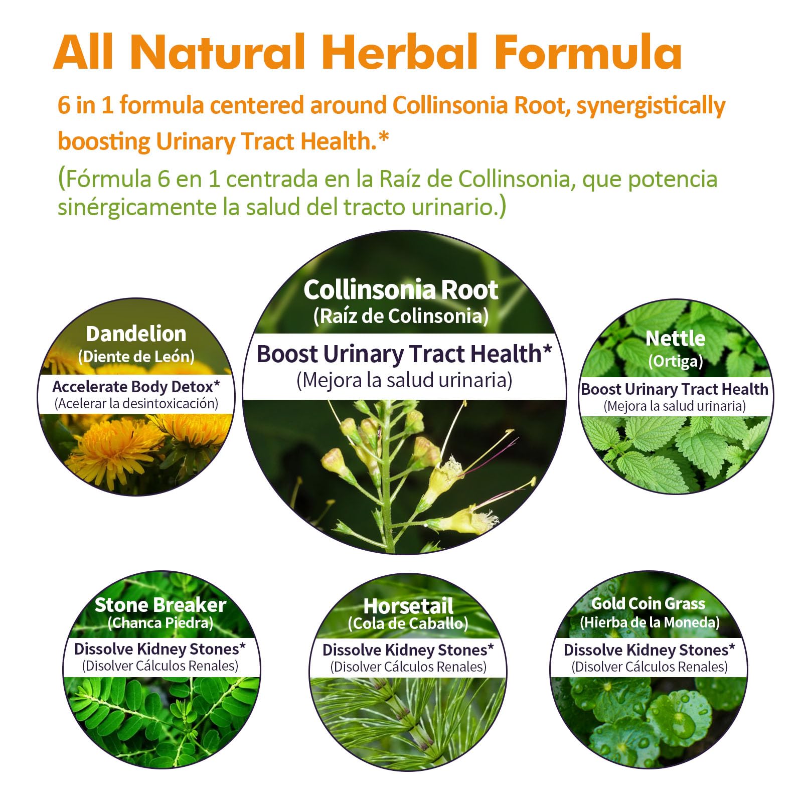 herbal detox drops for wellness
